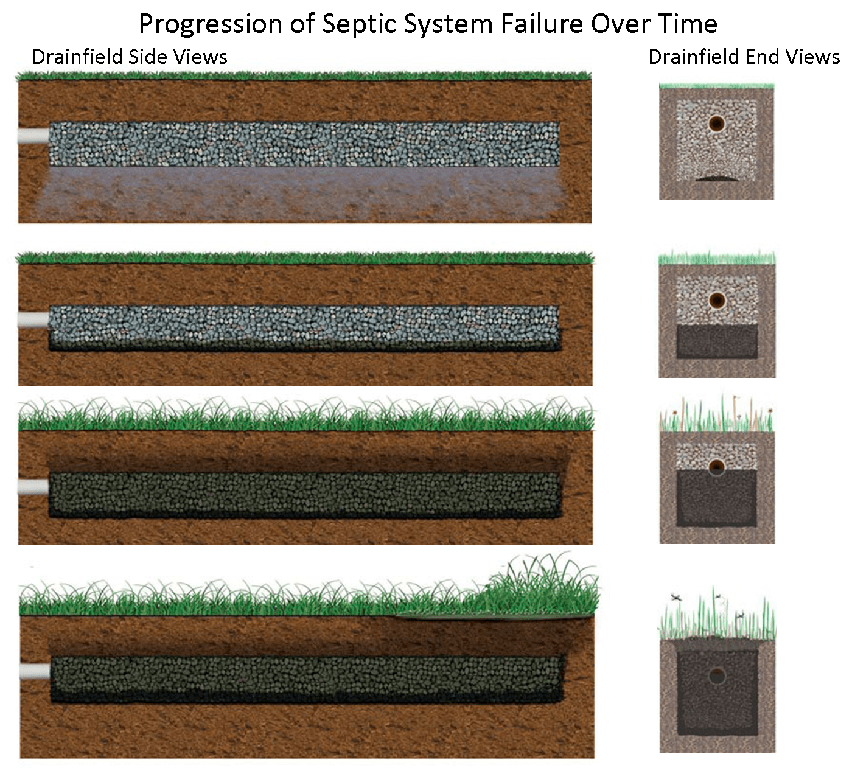Septic Repair - 'Digsomething'