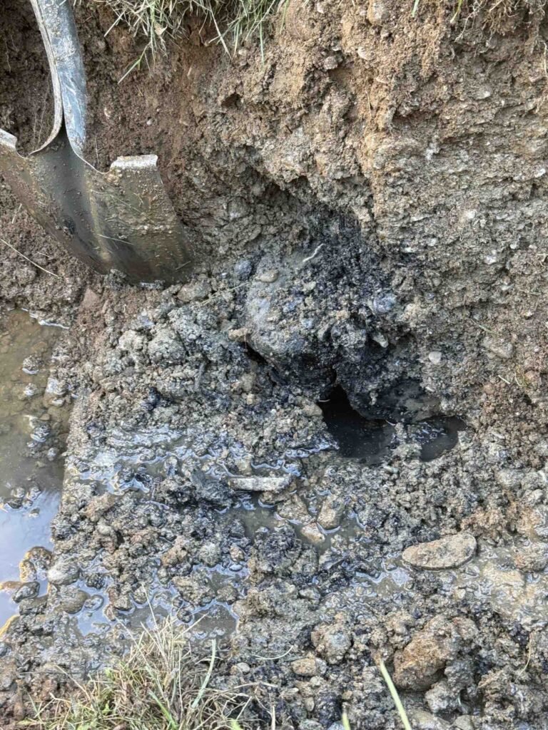 Septic Broken Pipe - 'Digsomething'